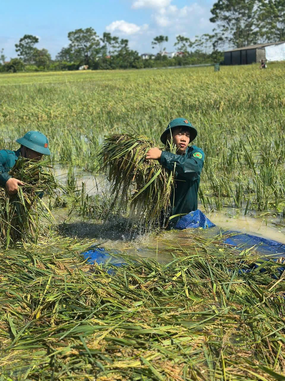 260 Polizisten, Militärangehörige und Soldaten helfen den Menschen der ...