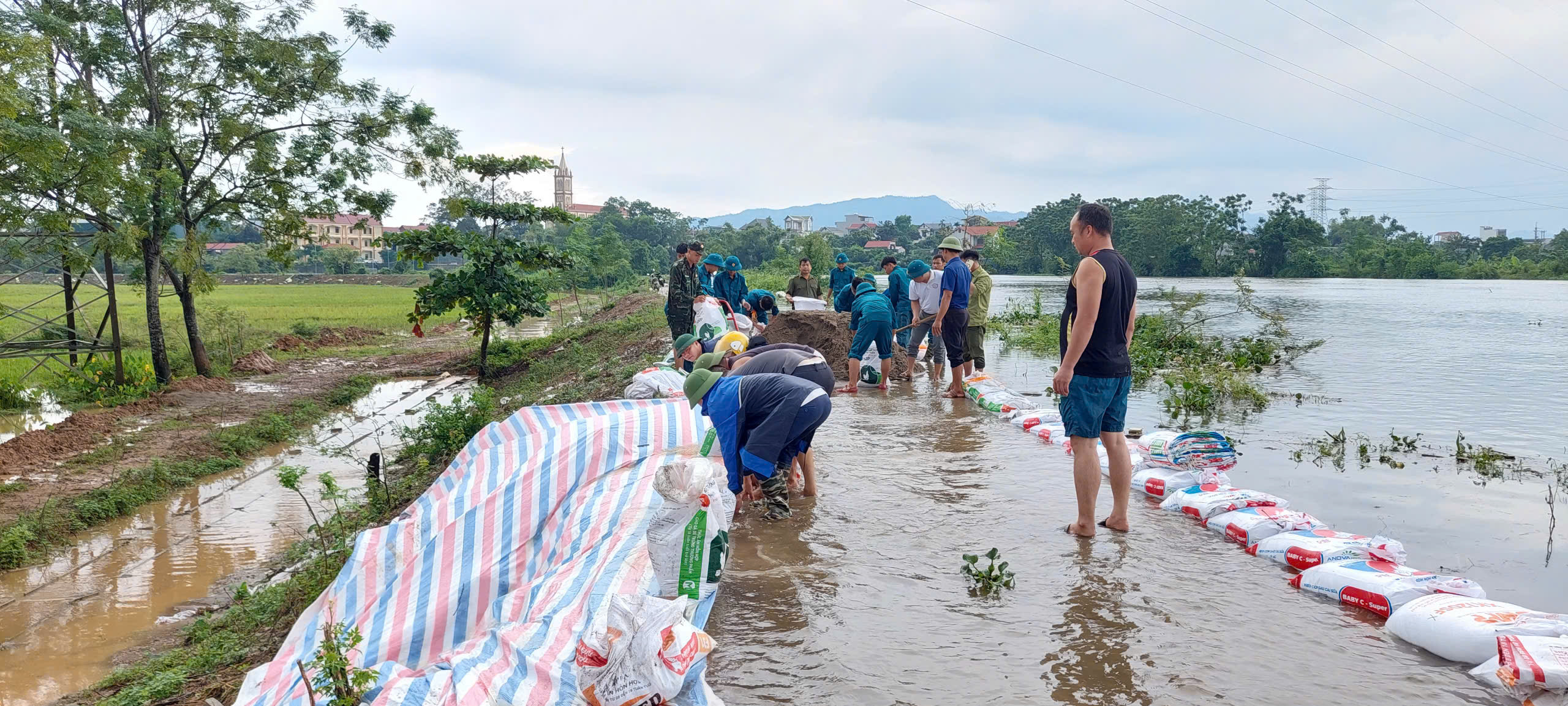 Commune de Phu Nghia : mobilisation des forces pour intervenir afin de sauver et de protéger la ...